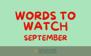 Spit the dummy – Macquarie