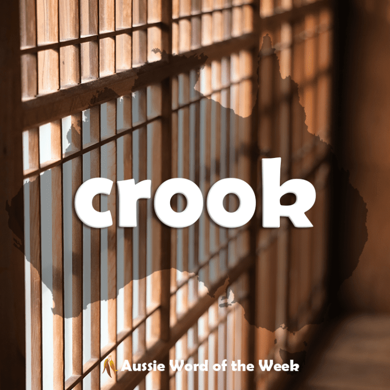 Catching a crook - Macquarie