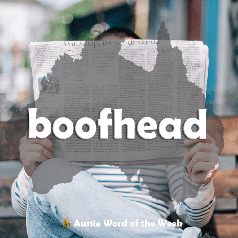 Read our Word of the Week ya boofhead - Macquarie