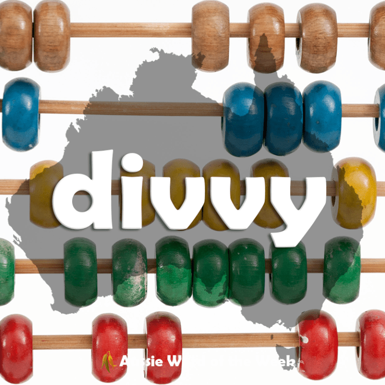 Divvying up our slang words - Macquarie