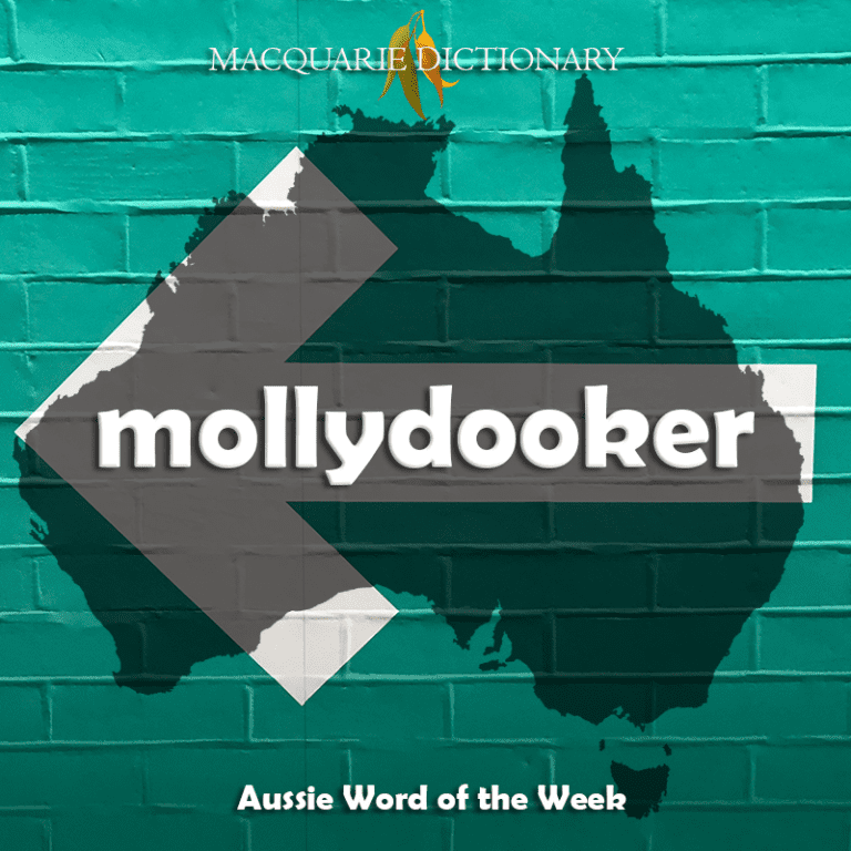 For all the mollydookers out there - Macquarie