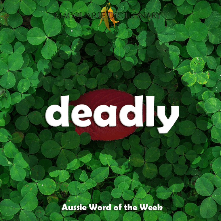 A deadly cut above the rest - Macquarie