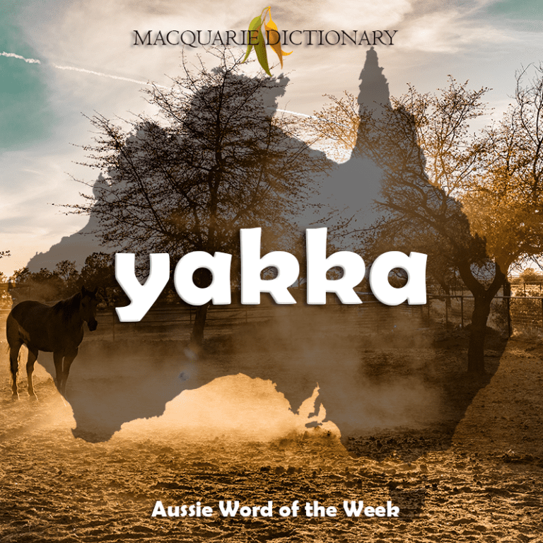 Good, old-fashioned hard yakka - Macquarie
