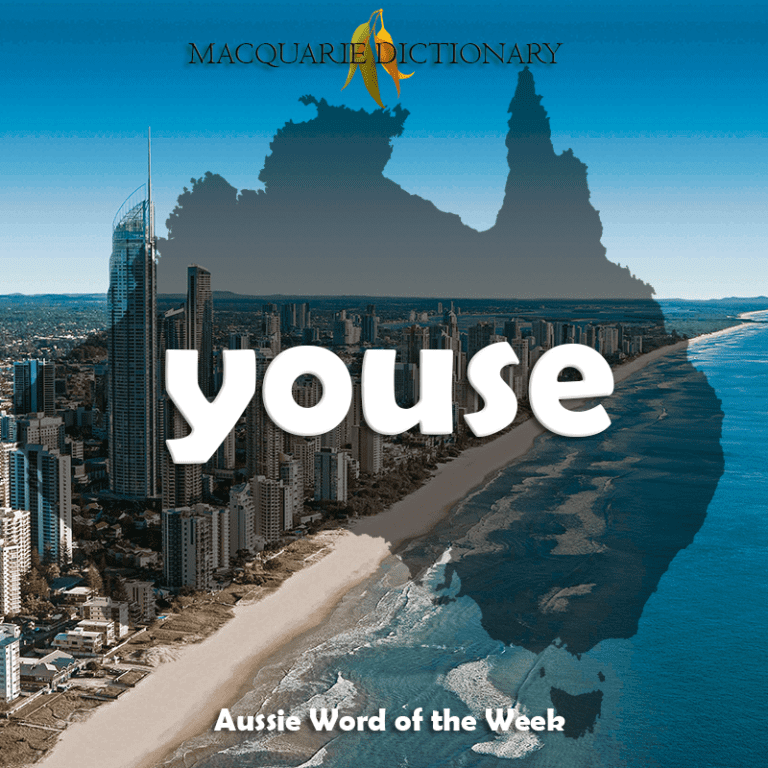 What're youse doing? - Macquarie