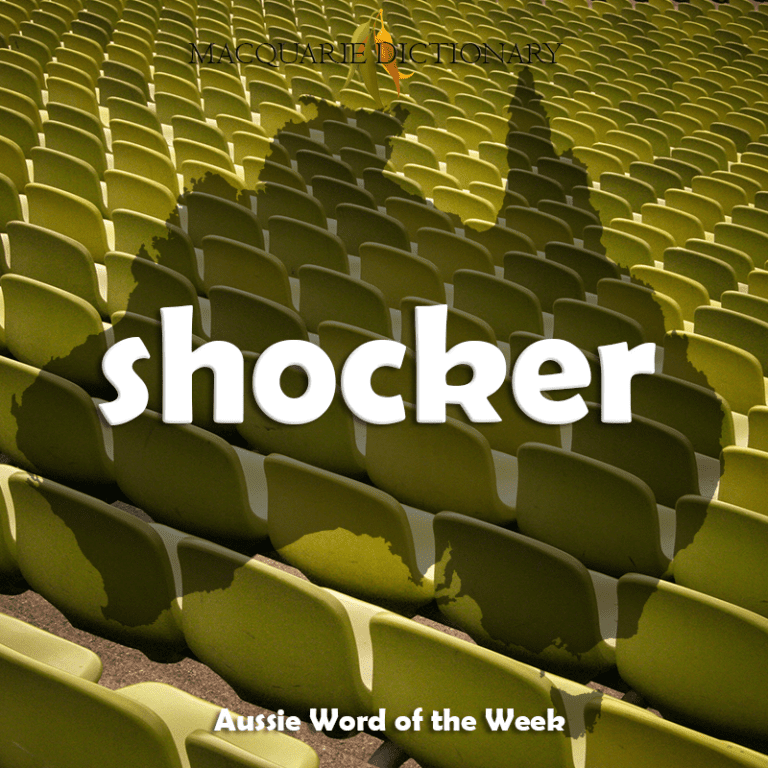 Has it been a shocker? - Macquarie