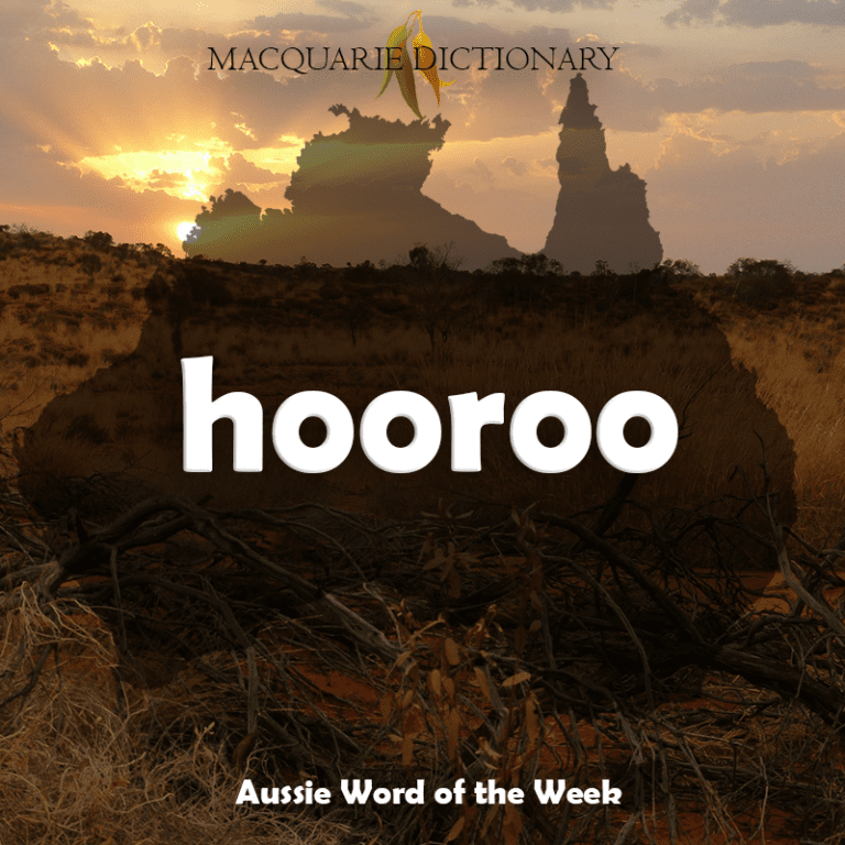 Ever leave a party without saying hooroo? – Macquarie