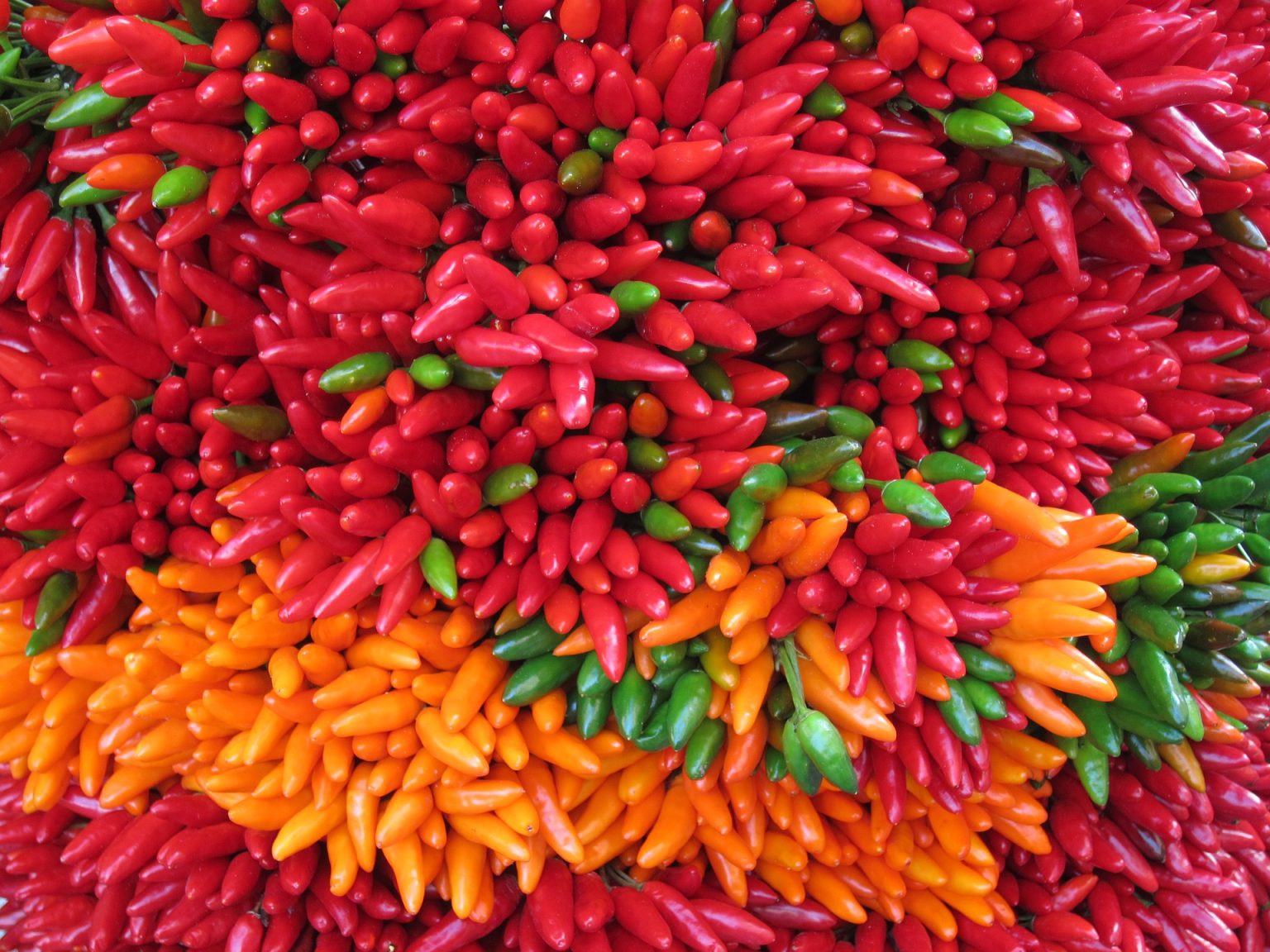 If it’s chilly in Chile, just eat some chilli. – Macquarie